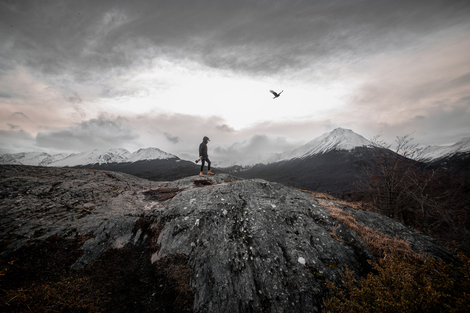 Marcos Alberca | Página oficial